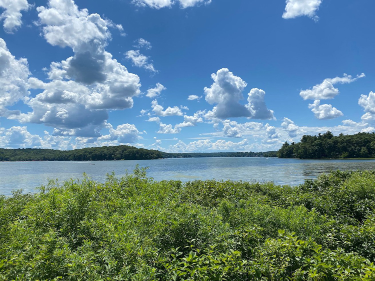 Phoenix Environmental Laboratories
