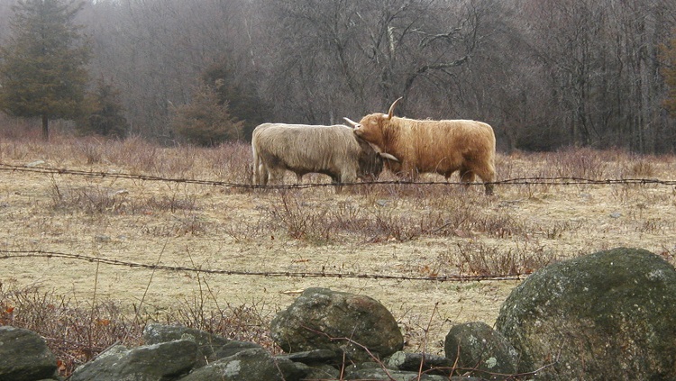 Phoenix Environmental Laboratories