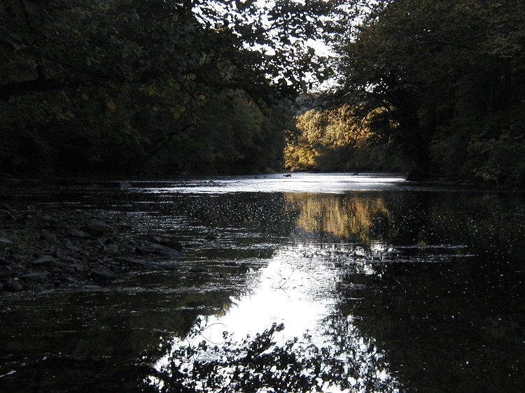Phoenix Environmental Laboratories