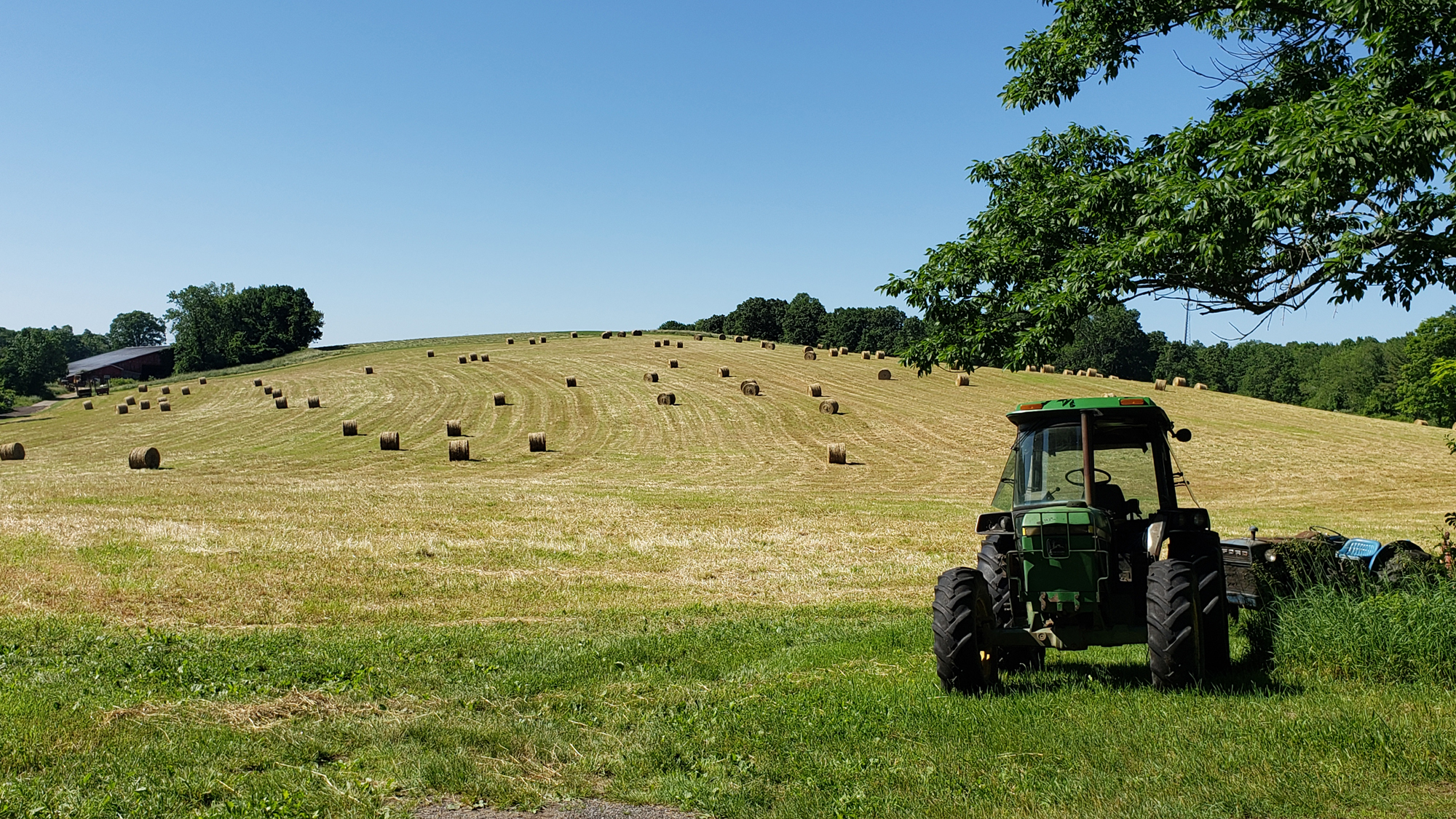 Phoenix Environmental Laboratories