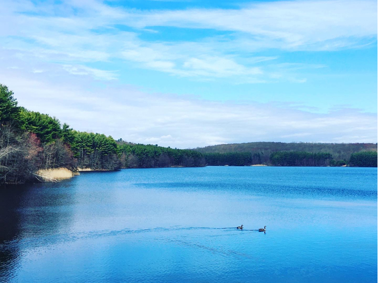 Phoenix Environmental Laboratories