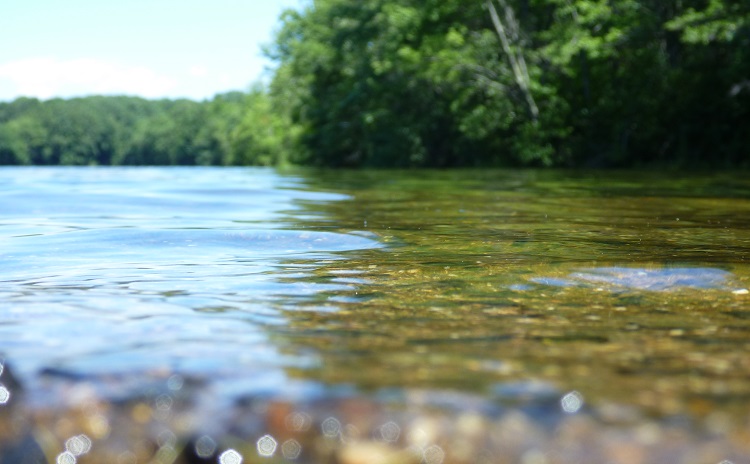 Phoenix Environmental Laboratories