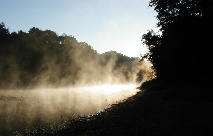 Phoenix Environmental Laboratories