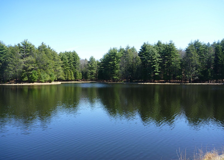 Phoenix Environmental Laboratories