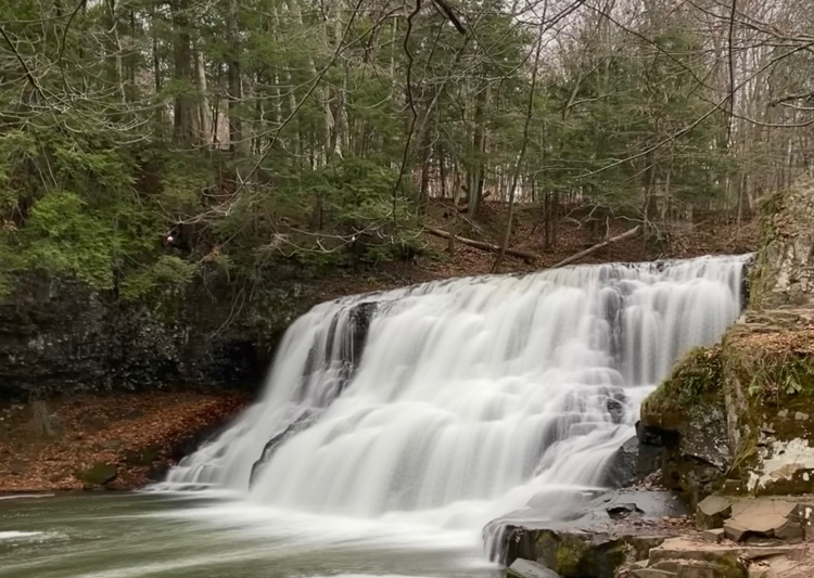 Phoenix Environmental Laboratories
