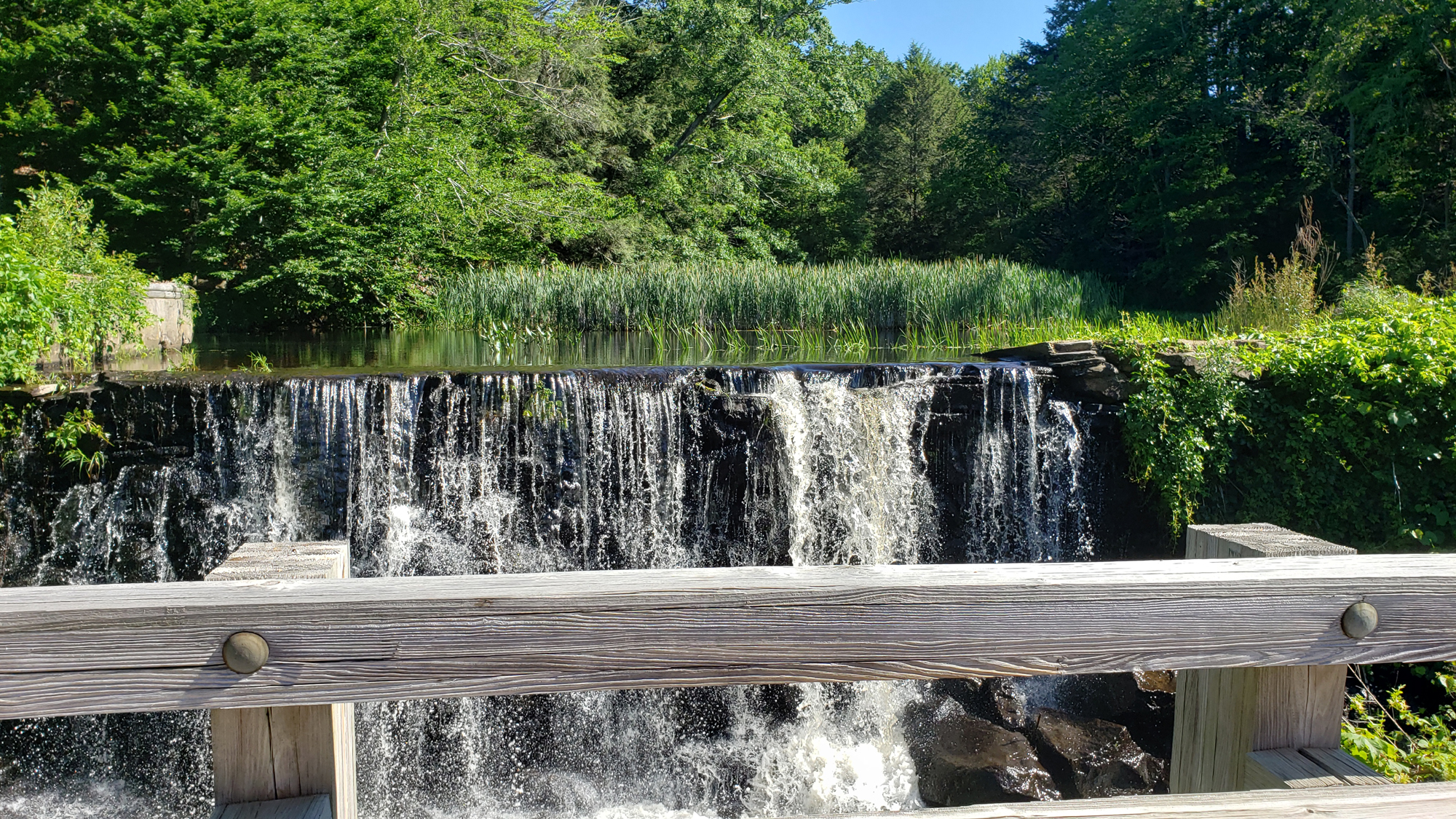 Phoenix Environmental Laboratories