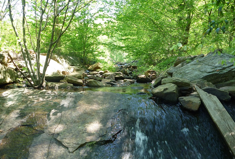 Phoenix Environmental Laboratories